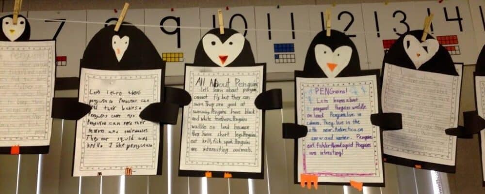Write about Penguins - Informational Writing