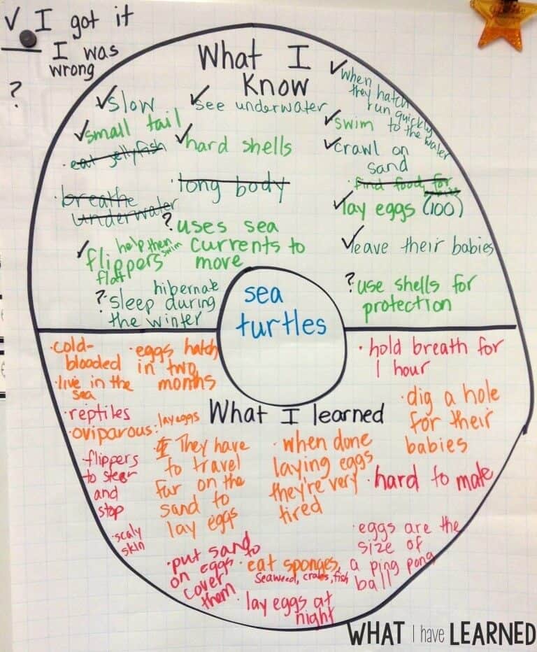 Anchor Chart Examples for Second Grade