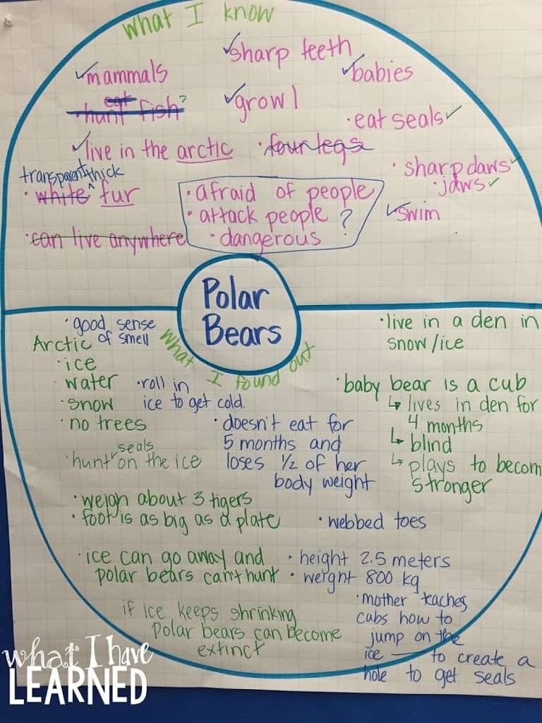 Expository Informational Writing Genius Paragraphs Expository Informational Writing Genius Paragraphs