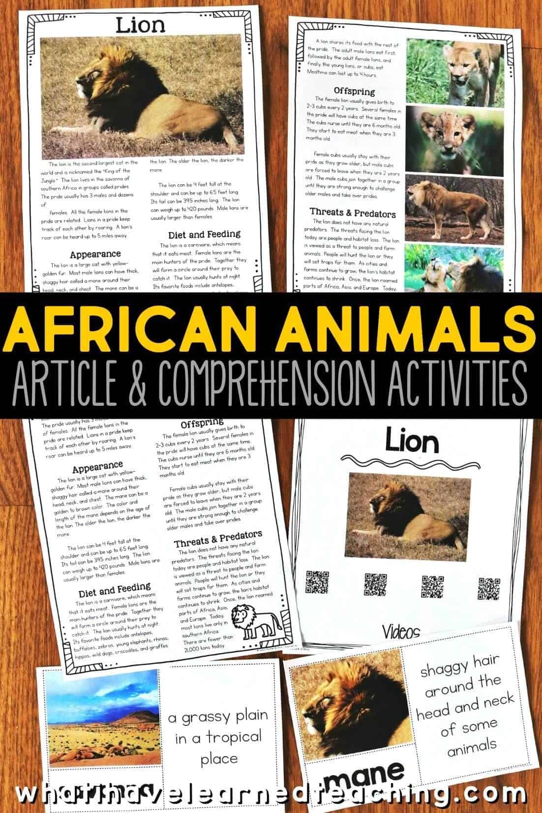 African Animals for Kids Informational Articles