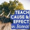 Cause and Effect Examples for Elementary Students