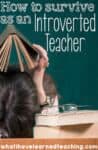 How to Survive as an Introverted Teacher