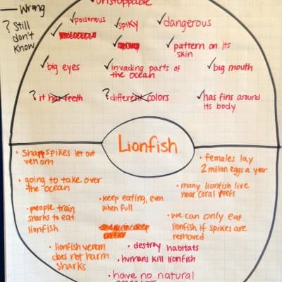 Informational Writing Tools for Elementary Animal Reports and Paragraph ...