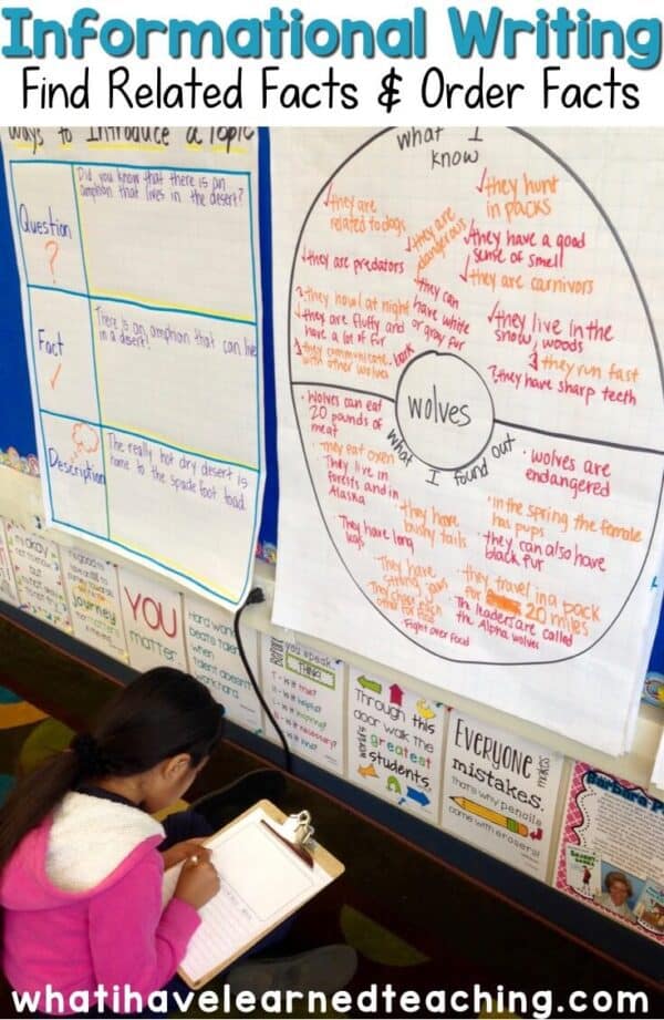 Finding Related Facts in Informational Writing