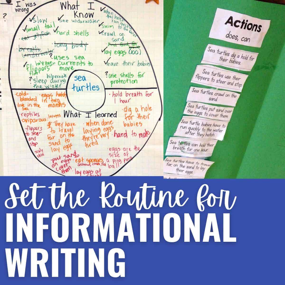 Set the Routine for Informational Writing: Week 1 - Sea Turtles