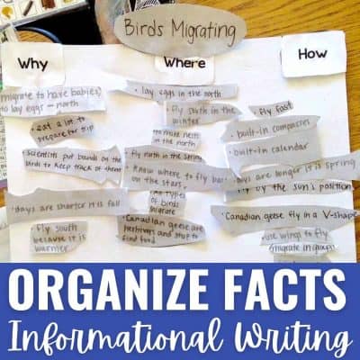 How Sorting Activities Provide Valuable Learning Experiences