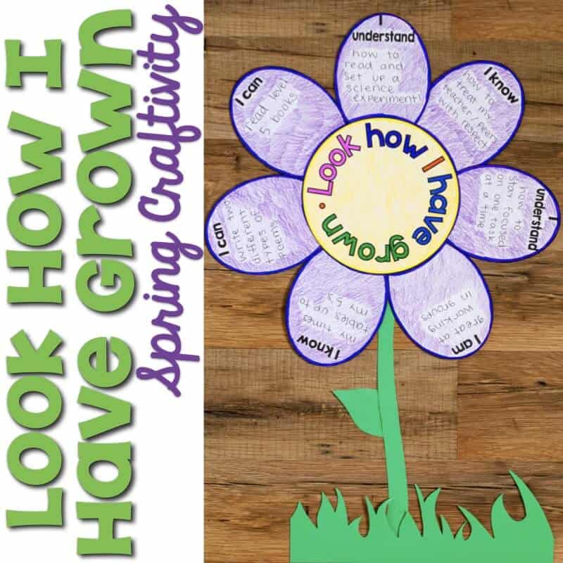 Look How I Have Grown Spring Craftivity