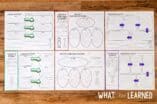 How to Use Graphic Organizers for Reading Comprehension