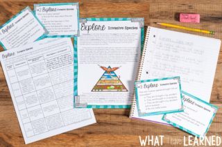 Third Grade Science Stations BUNDLE