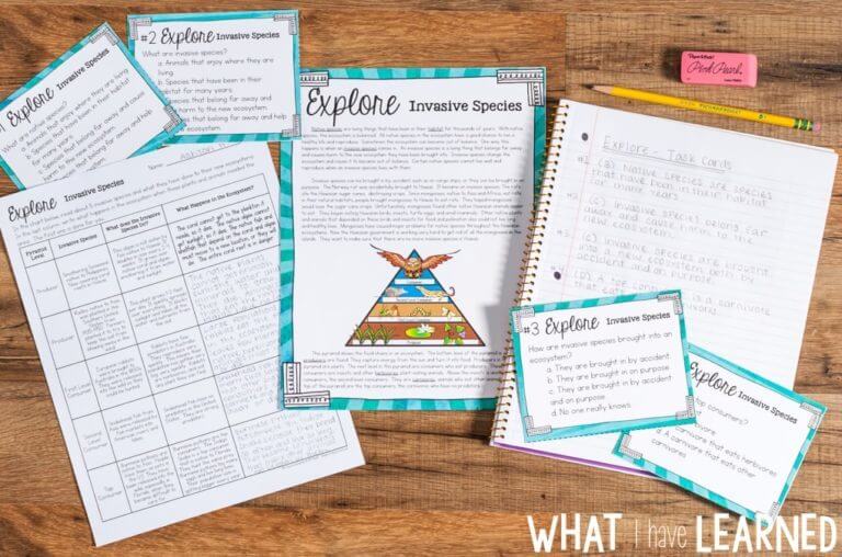 Third Grade Science Station Units