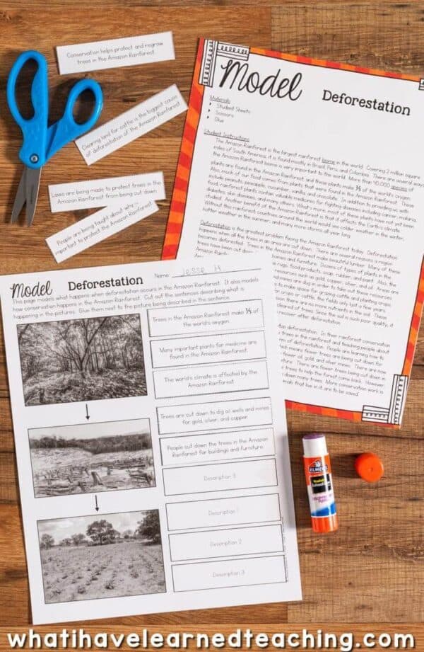 Third Grade Science Stations BUNDLE