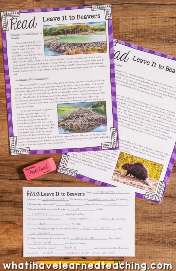 Ecosystems and Biodiversity Third Grade Science Stations