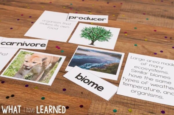 Science Vocabulary Activities for Elementary Students