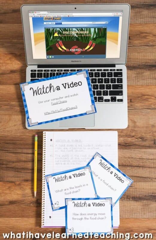 Third Grade Science Stations BUNDLE