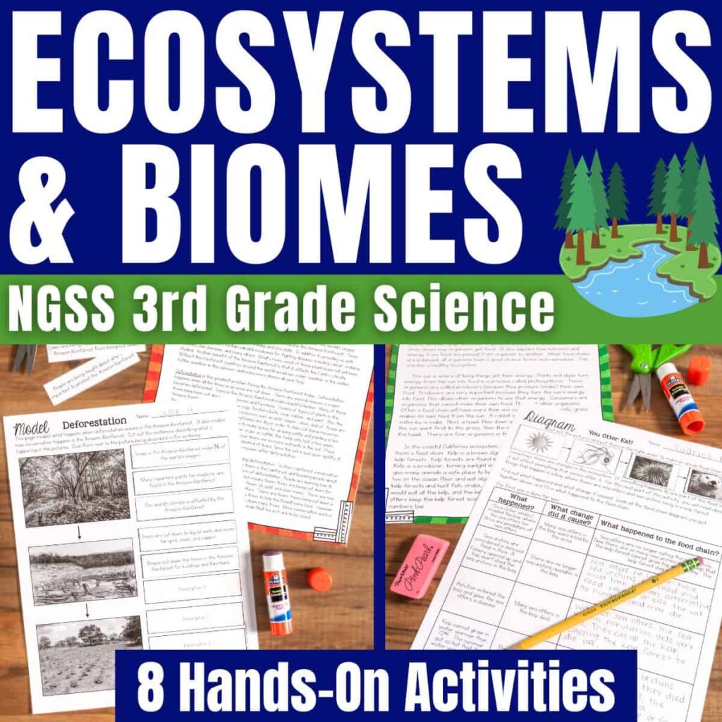 Life Cycles of Plants and Animals - Science Stations for Third Grade