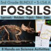 Fossils in 3rd Grade: NGSS 3-LS4-1 Teaching Guide