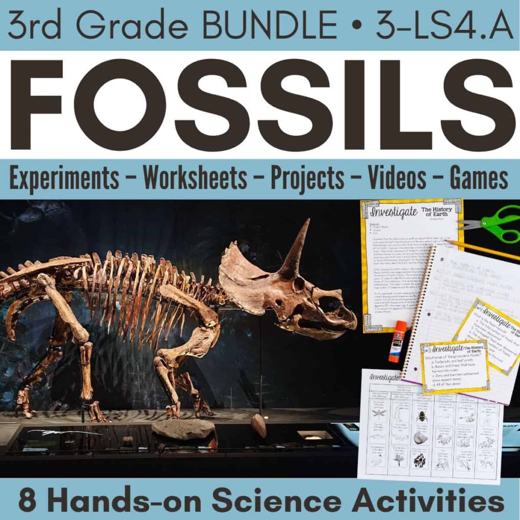 Fossils in 3rd Grade: NGSS 3-LS4-1 Teaching Guide