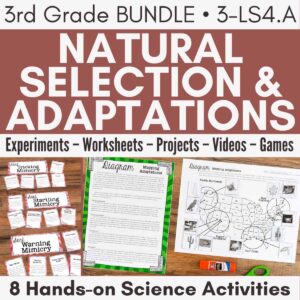 Hands-on Ecosystem Activities for Elementary Students