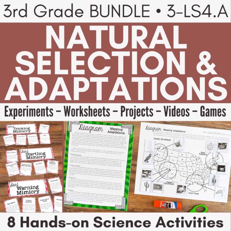 Hands-on Ecosystem Activities for Elementary Students