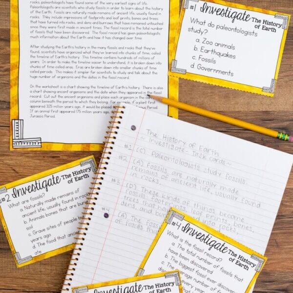 Third Grade Science Stations BUNDLE
