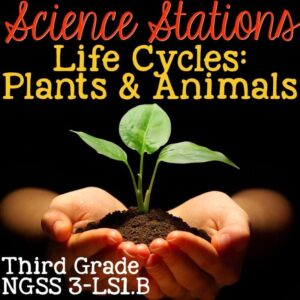Life Cycles of Plants and Animals - Science Stations for Third Grade