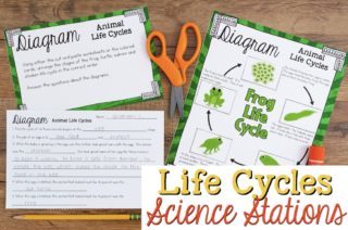 Rigorous Third Grade Science Curriculum for NGSS