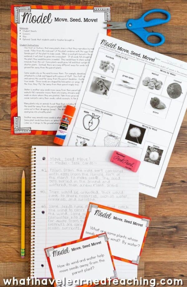 Third Grade Science Stations BUNDLE