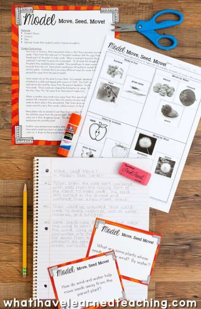 Third Grade Science Stations BUNDLE