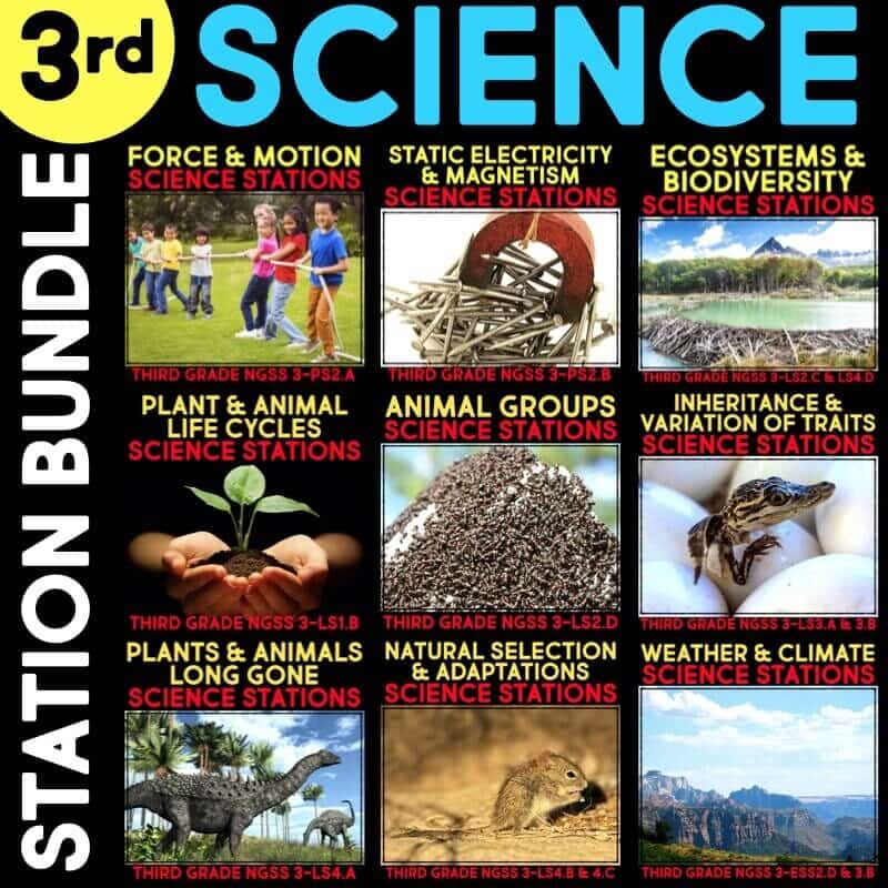 Third Grade Science Stations BUNDLE