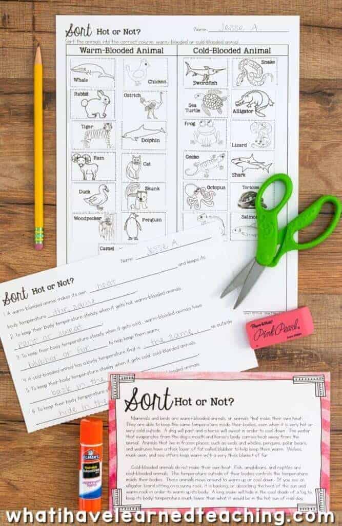 Warm-Blooded Vs. Cold-Blooded Animals Science Sort