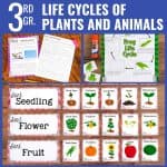Life Science for Elementary Students: 2nd–5th Grade Guide