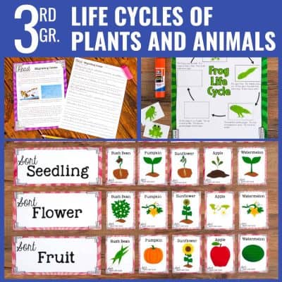 Life Science for Elementary Students: 2nd–5th Grade Guide