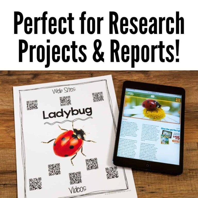 Life Cycle Informational Articles and Comprehension Activities - BUNDLE