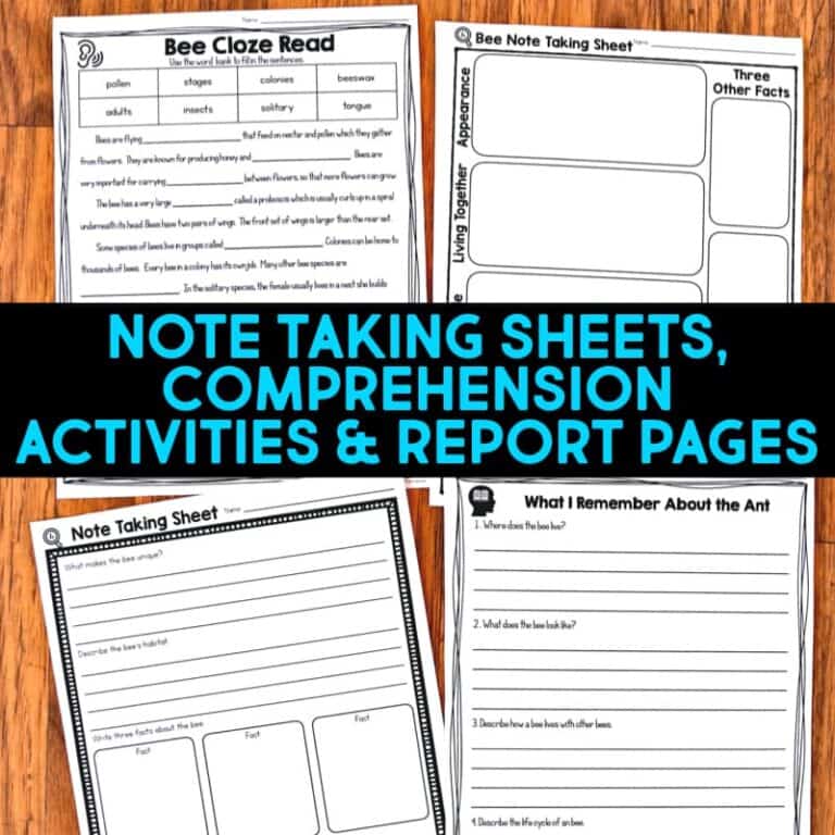 Bee Informational Article and Comprehension Activities