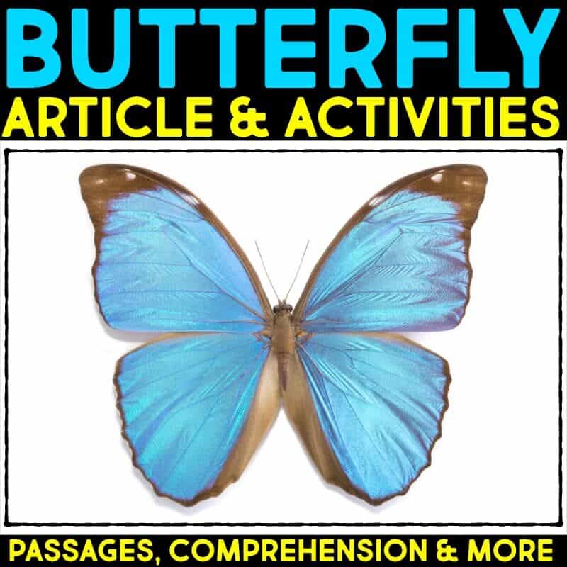 Butterfly Informational Article and Comprehension Activities