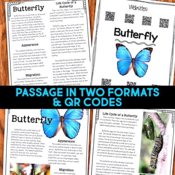 Butterfly Informational Article and Comprehension Activities