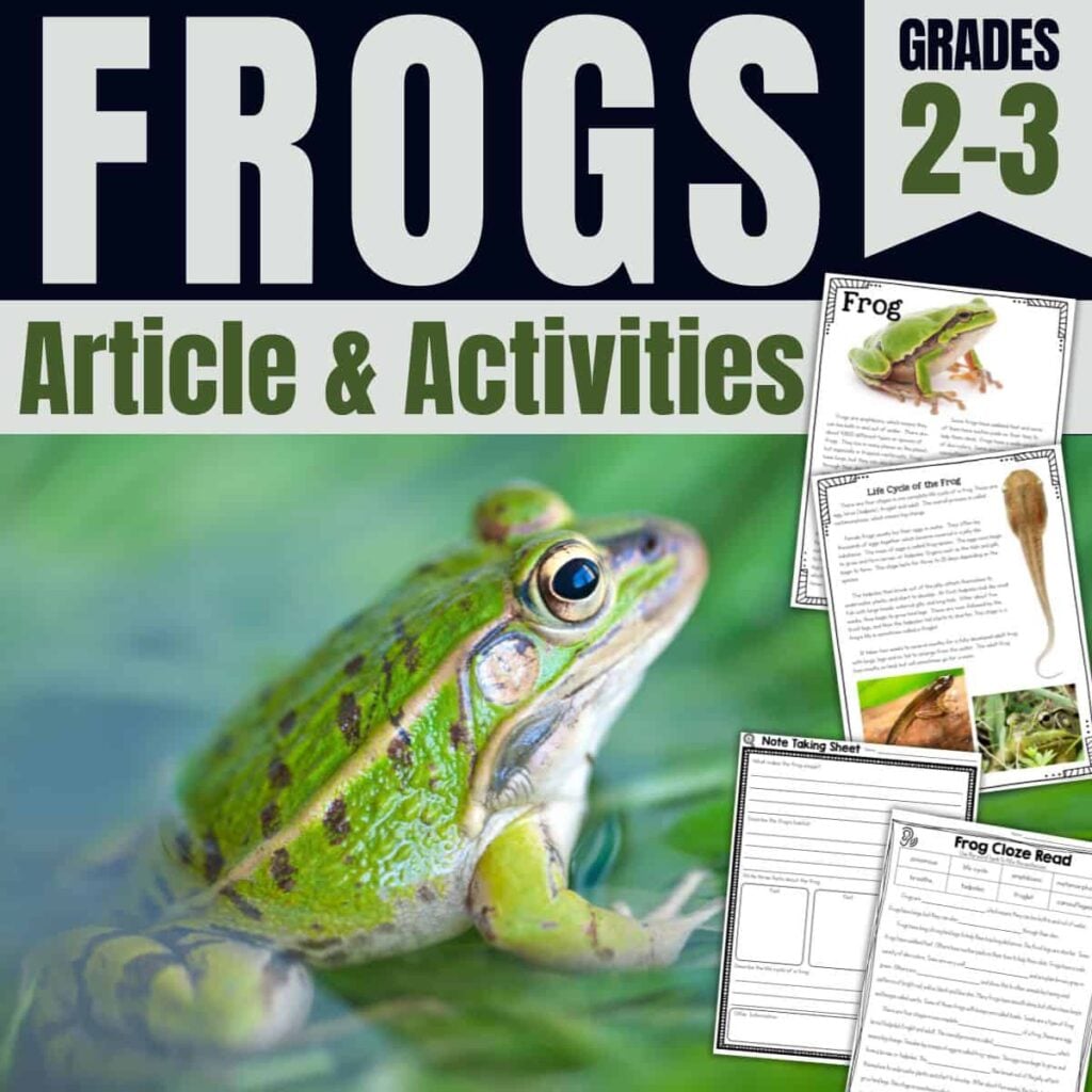 Shop Teaching Resources