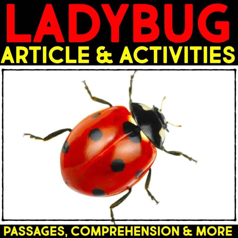Ladybug Informational Article and Comprehension Activities