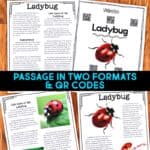 Ladybug Informational Article and Comprehension Activities