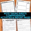 Ladybug Informational Article and Comprehension Activities