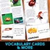 Ladybug Informational Article and Comprehension Activities