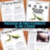 Praying Mantis Informational Article and Comprehension Activities