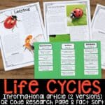 Teach Students to Write Animal Reports - Free Template