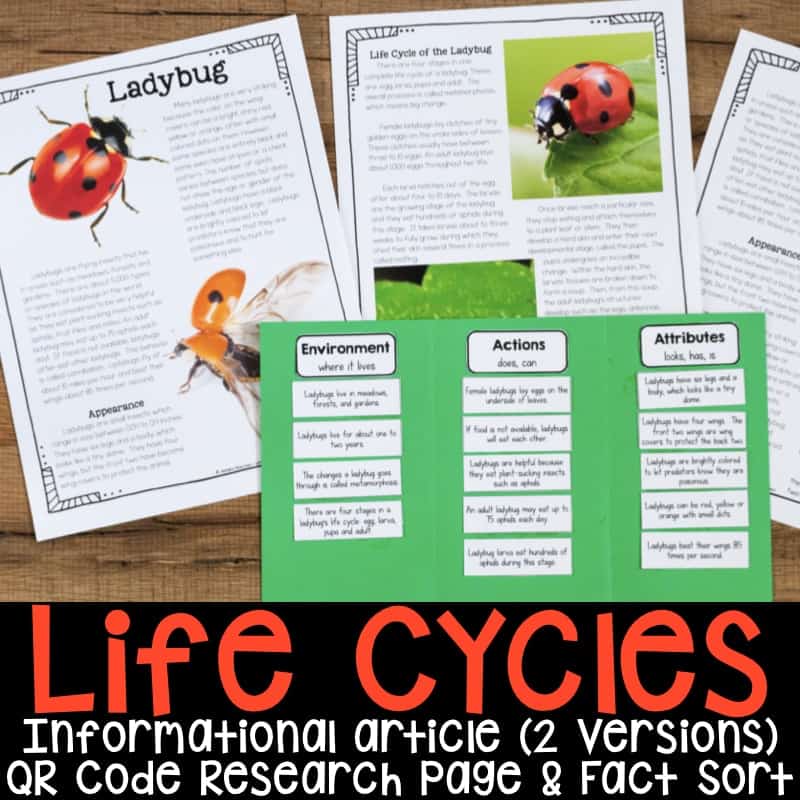 Teach Students to Write Animal Reports - Free Template