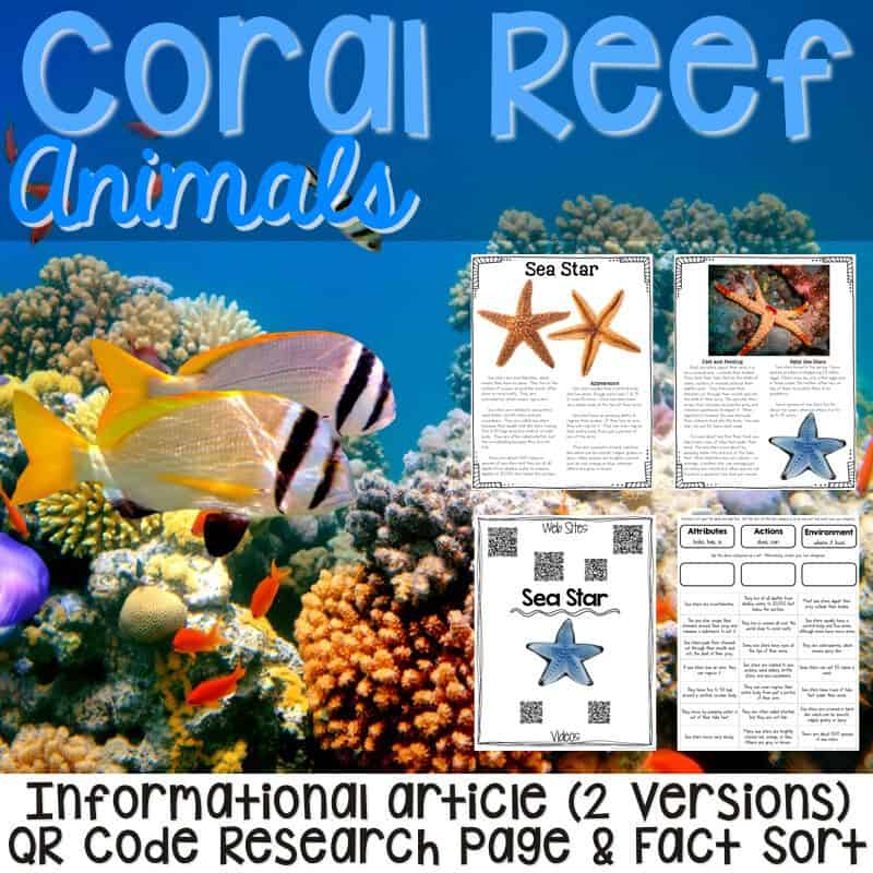 Coral Reef Animals BUNDLE
