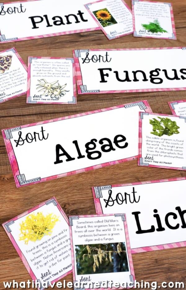 Sort Organisms into Kingdoms - Plants, Fungi, Algae, and Lichen
