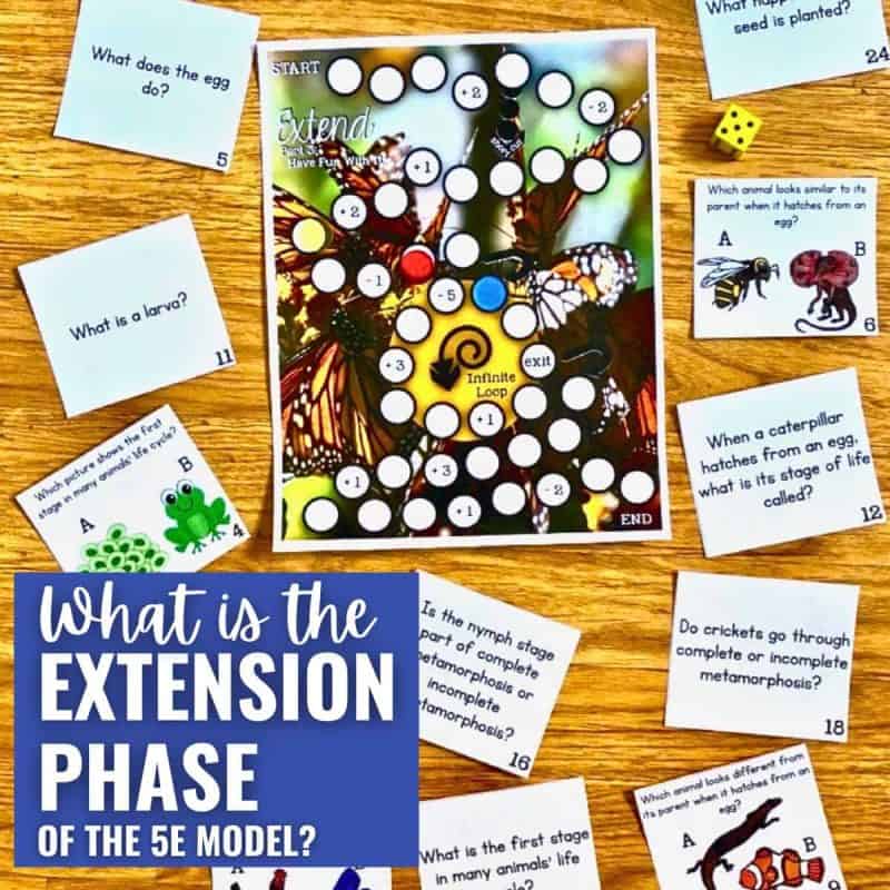 What Is the 5E Model of Science Instruction?
