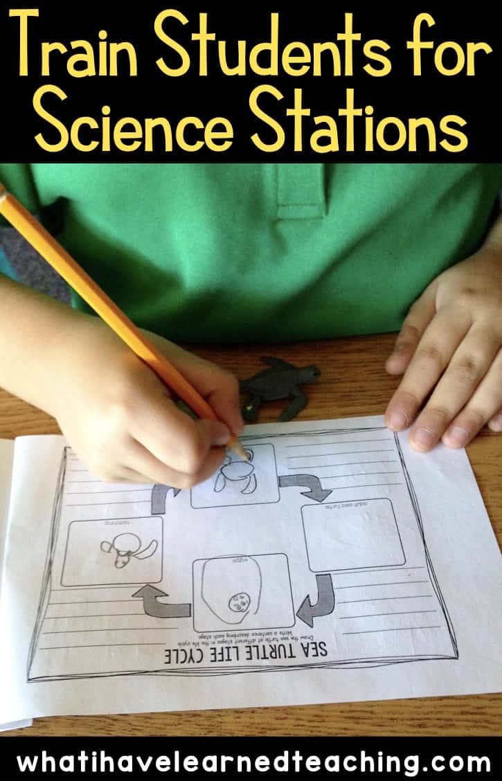 4 Tips for Successful Elementary Science Stations