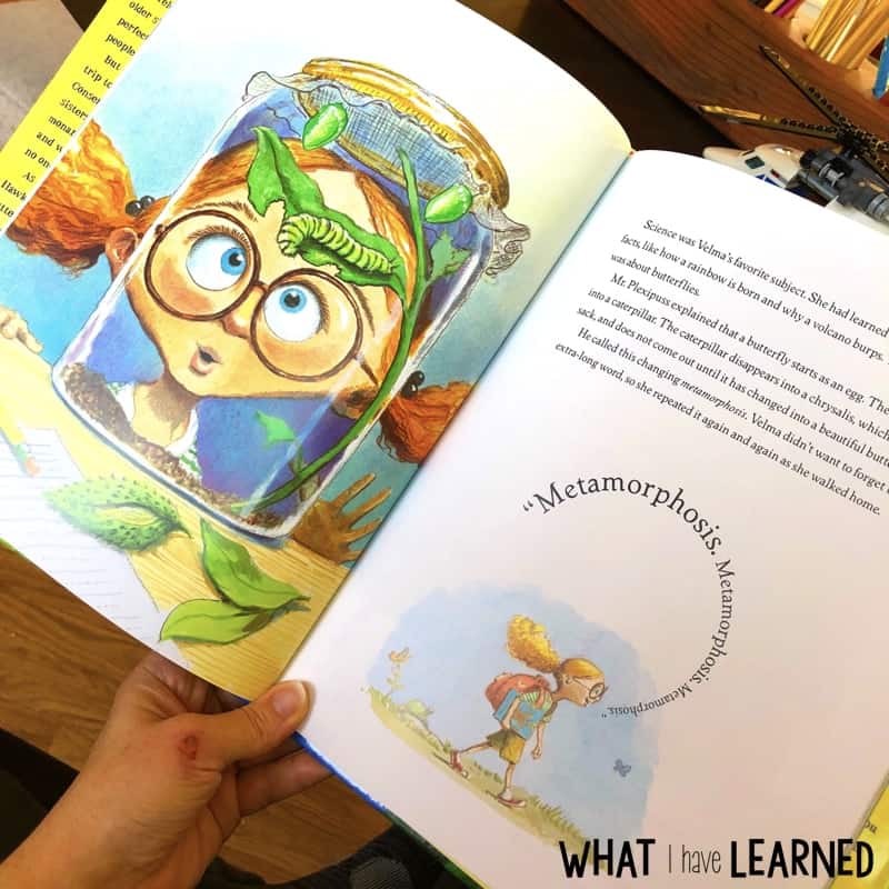 Life Cycle of a Butterfly Teaching Ideas