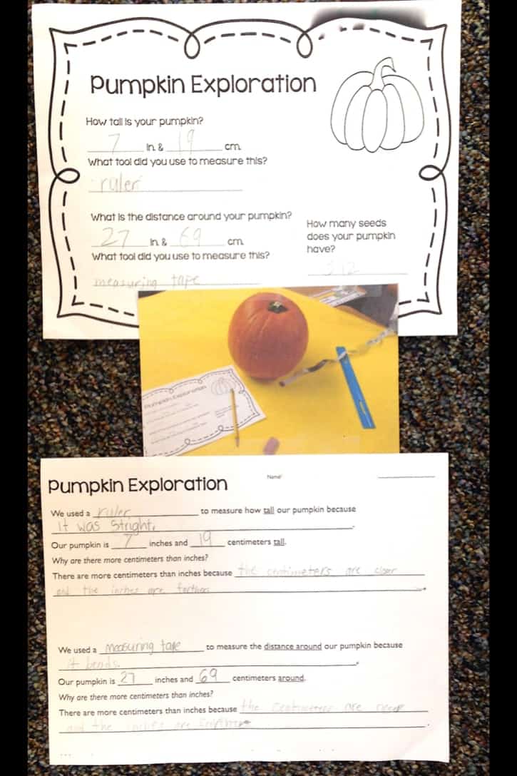 More Pumpkin Measurement